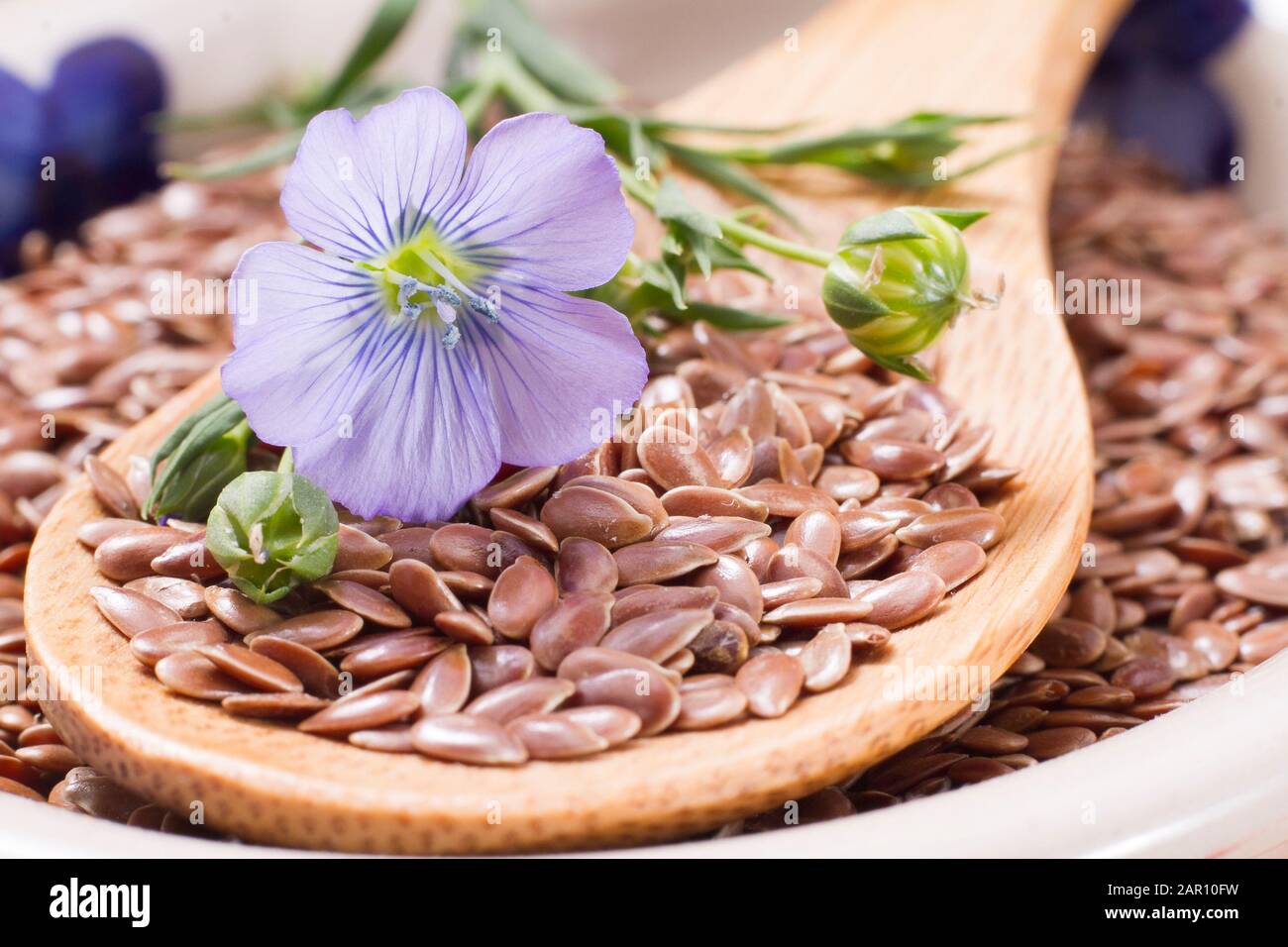 flax seed grains on the table, Linum usitatissimum Stock Photo - Alamy