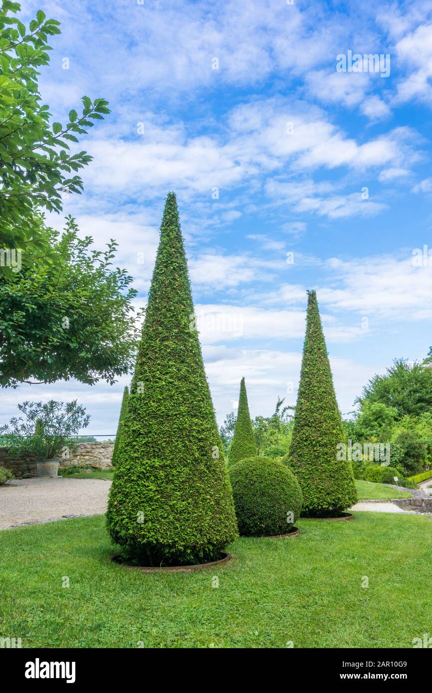castle ruins and and bux trees in a medieval garden Stock Photo - Alamy