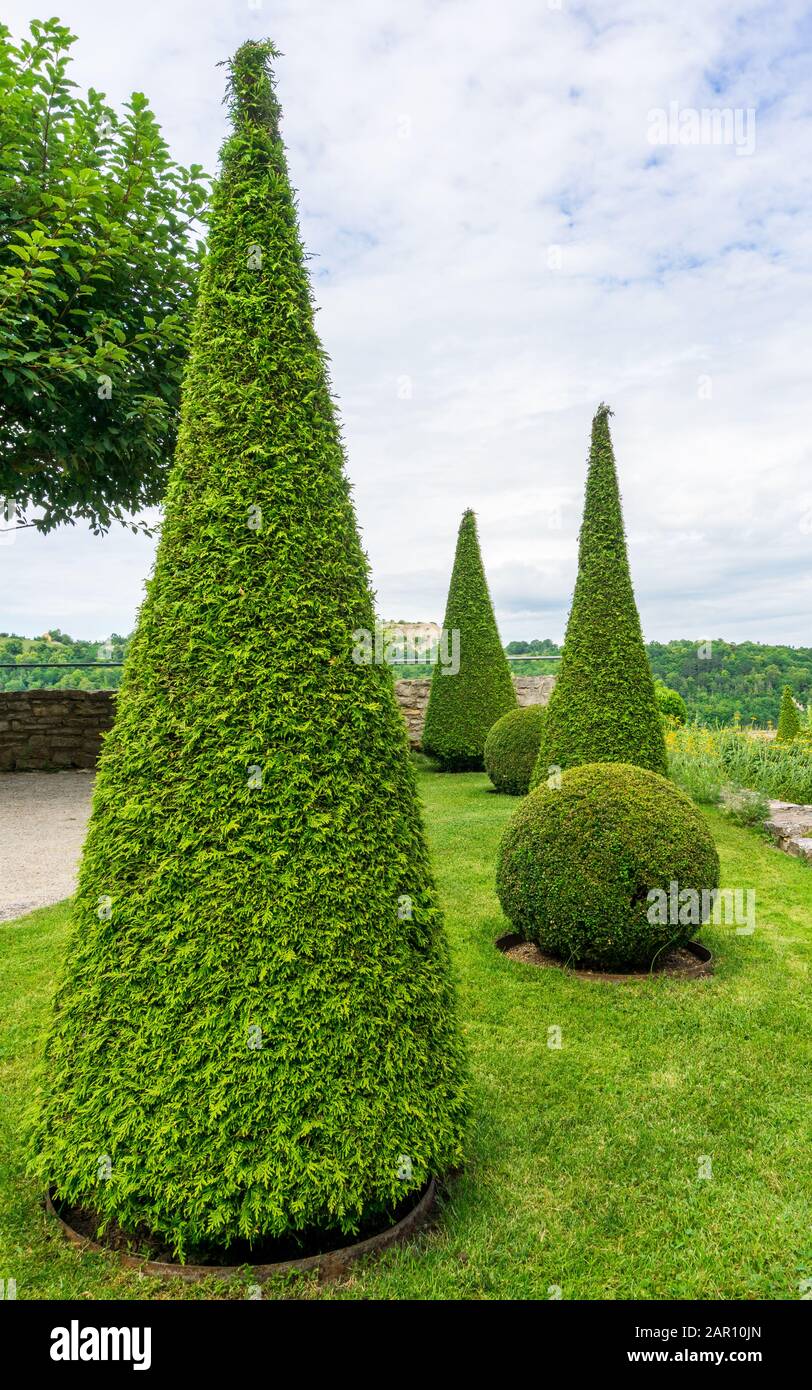 castle ruins and and bux trees in a medieval garden Stock Photo - Alamy