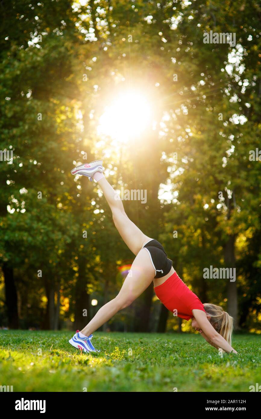 Healthy young sportswoman doing the exercises on all fours arching back ...