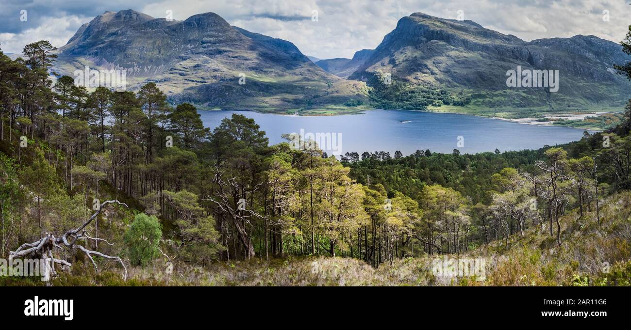 Beinn Eighe woodland nature trail through Caledonian, forest above Loch ...