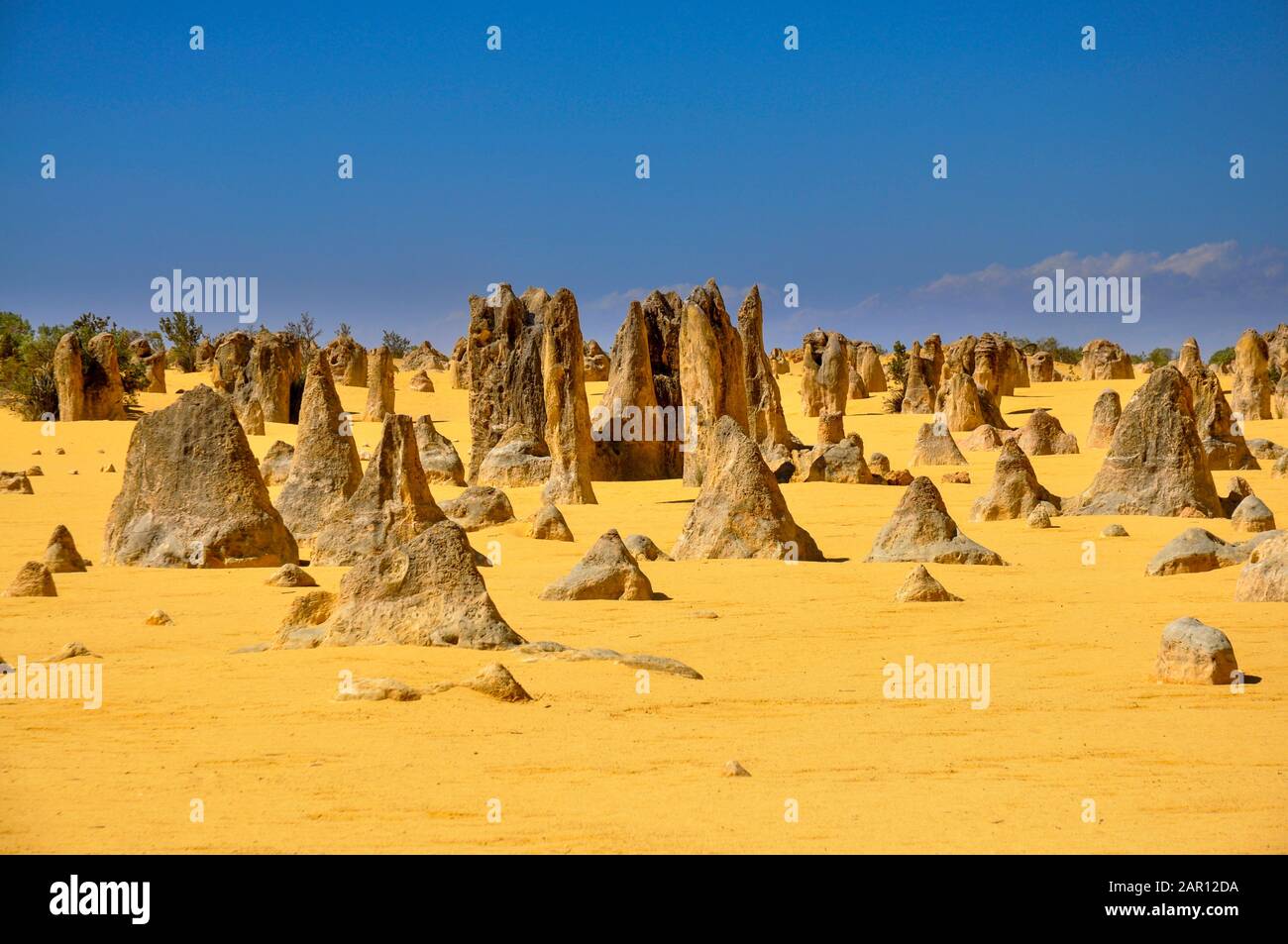 The Pinnacles in Western Australia Stock Photo - Alamy