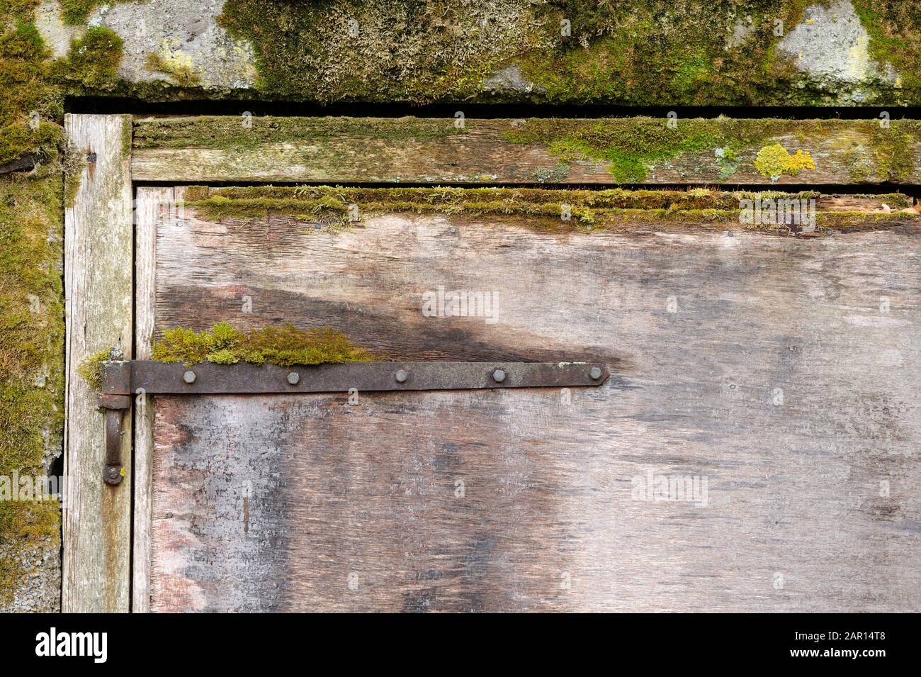 Old door and rusty hinge Stock Photo - Alamy