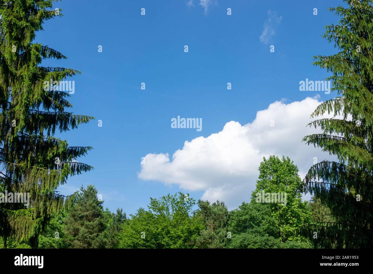 Frame from left right hi-res stock photography and images - Alamy