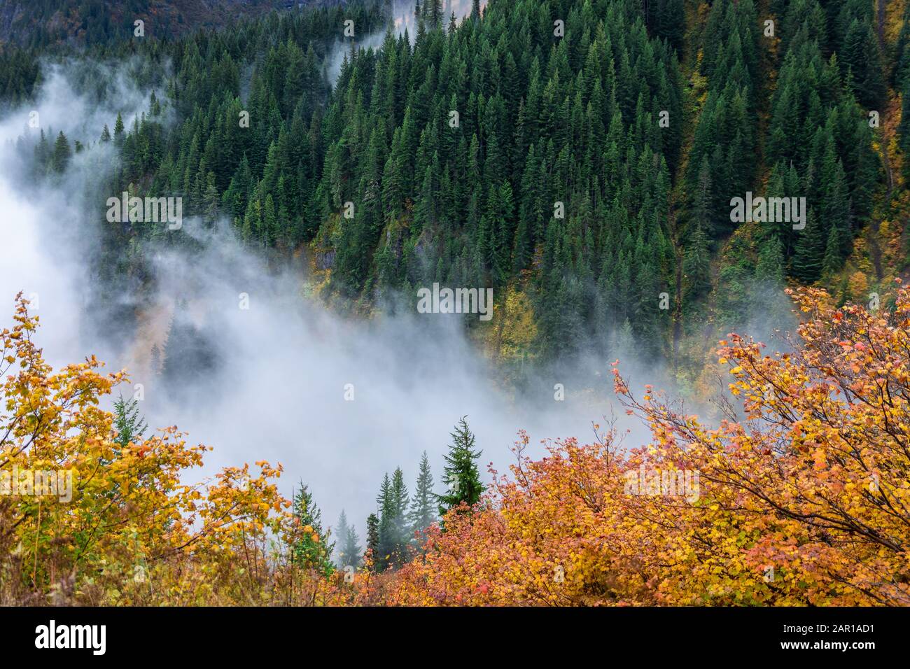 Aerial seattle air hi-res stock photography and images - Alamy