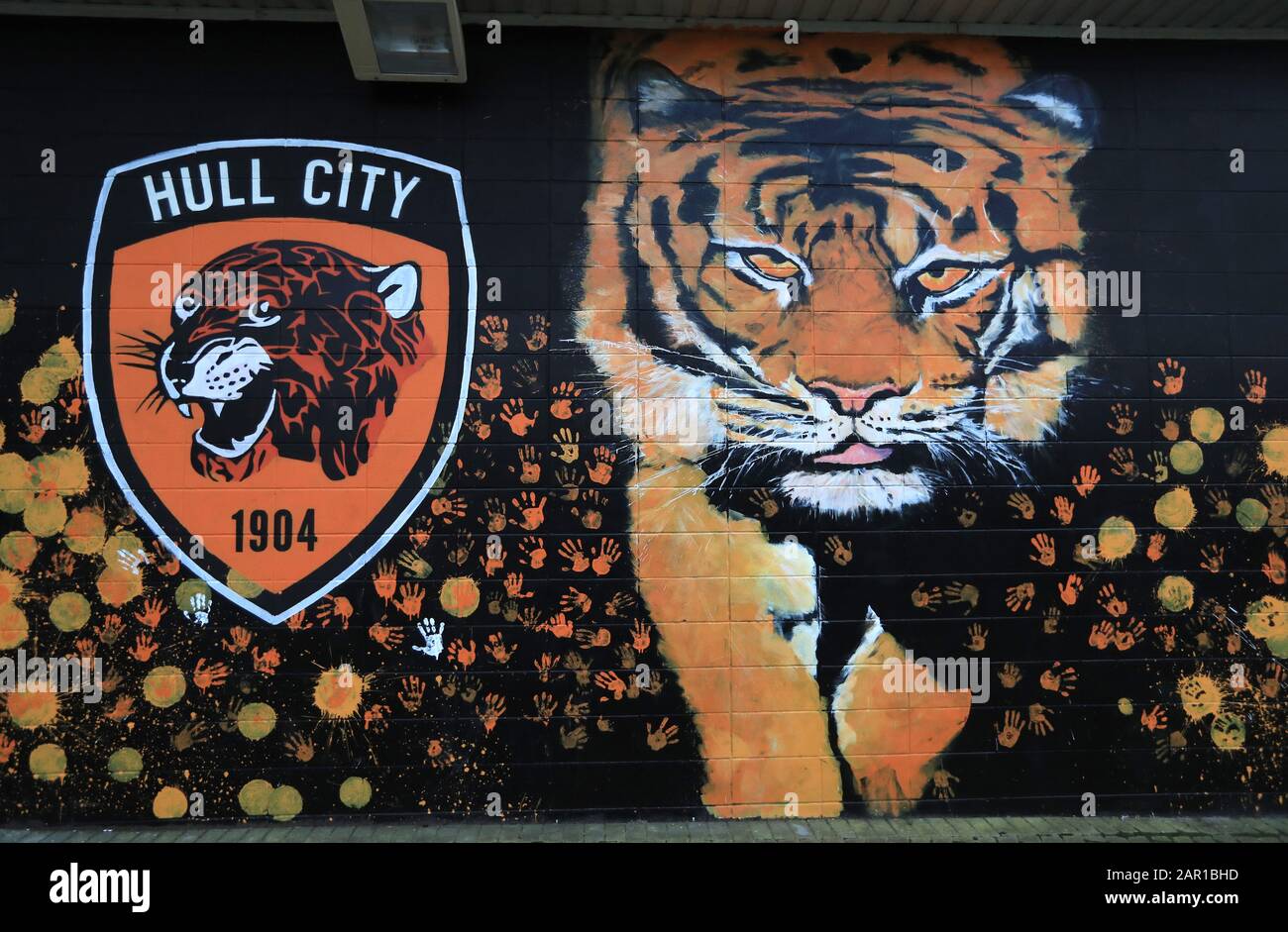 A general view of Hull City graffiti during the FA Cup fourth round ...