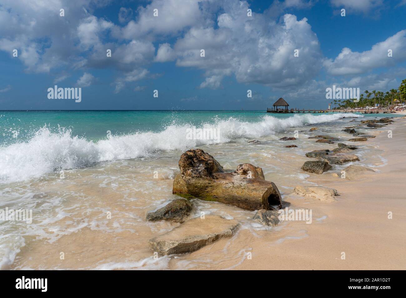 Sea view with a large log of beached storm past Stock Photo - Alamy