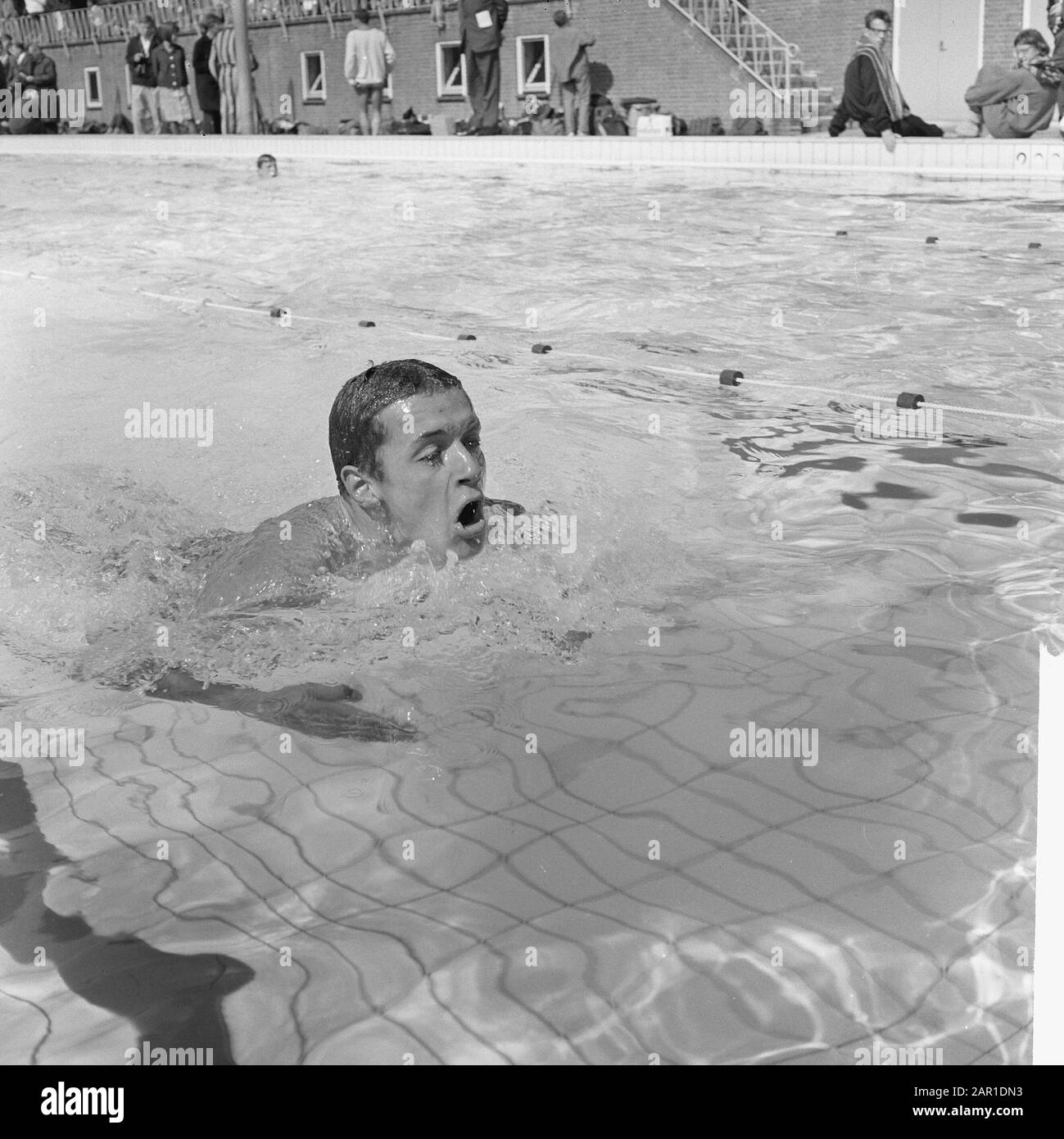 International swimming competitions in Nijmegen, Hans Spijkerman Date ...