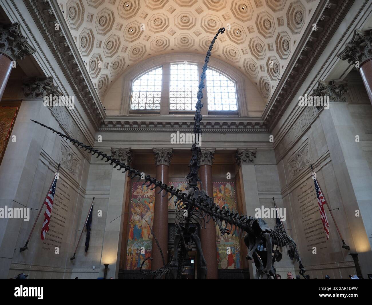 New York, USA - May 30, 2019: Image of the Theodore Roosevelt Rotunda ...