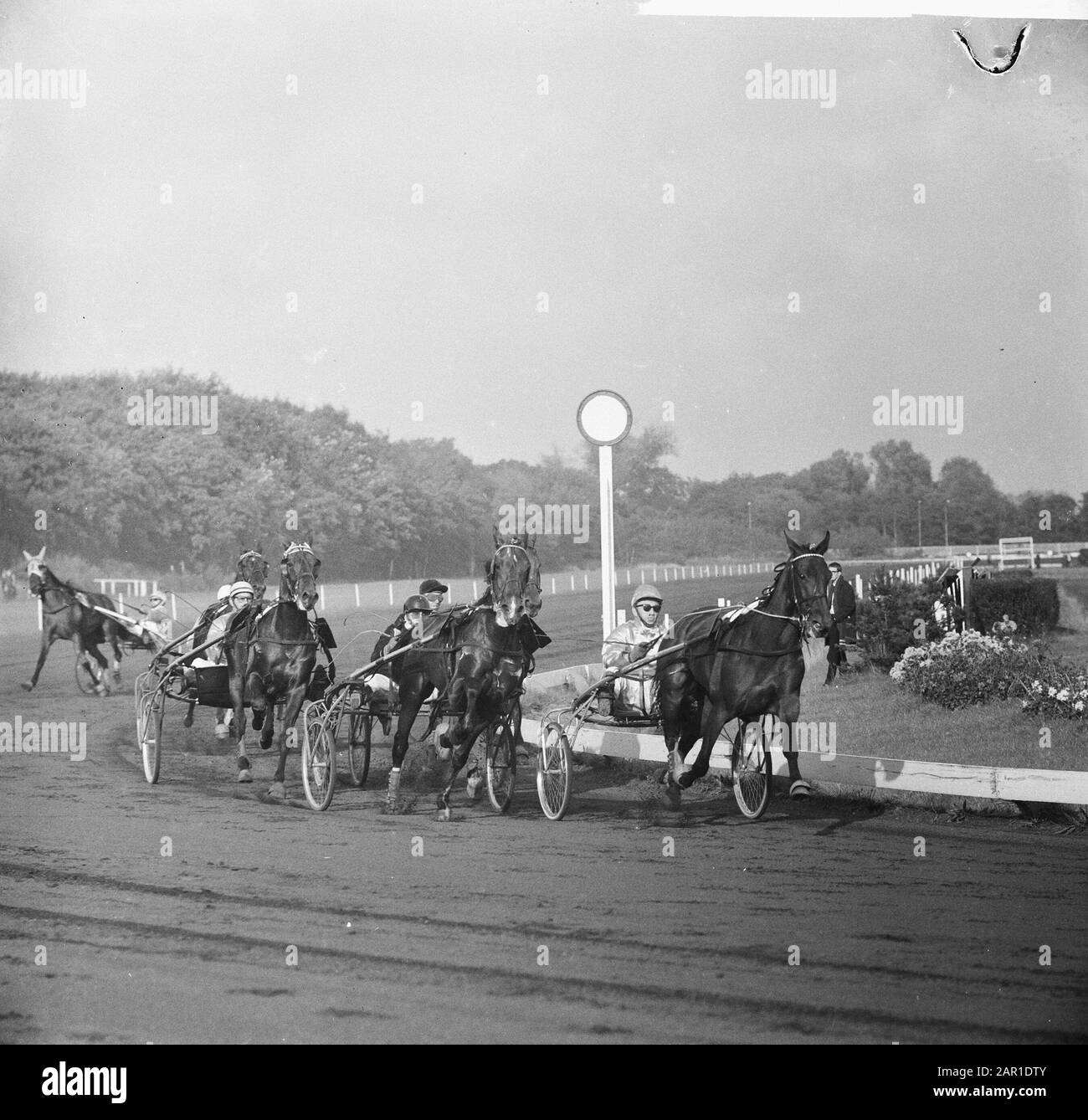 Rider field hi-res stock photography and images - Alamy