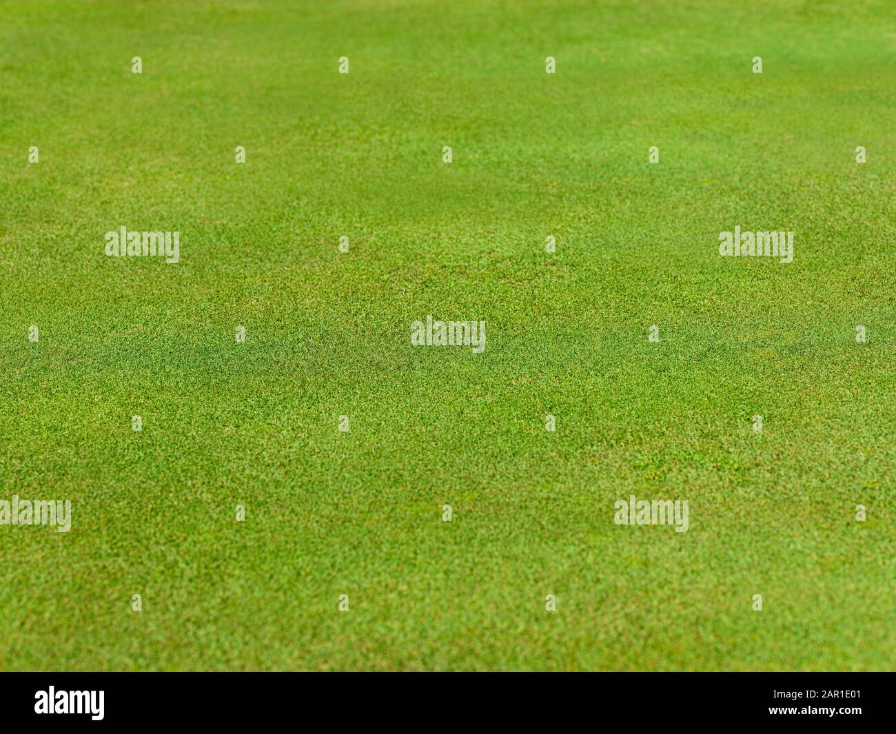 Golfing fee hi-res stock photography and images - Alamy