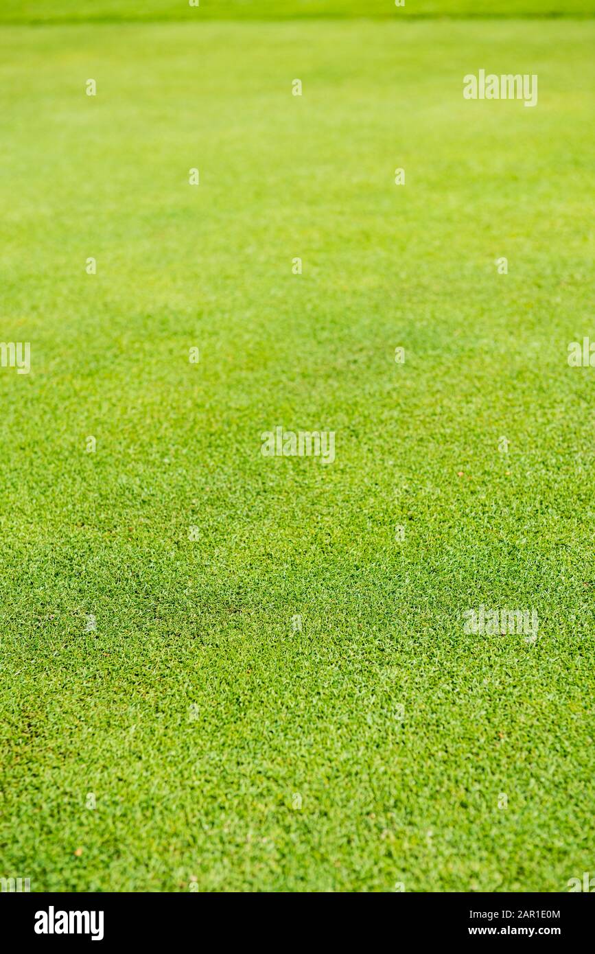 Putting green of a driving range Stock Photo - Alamy
