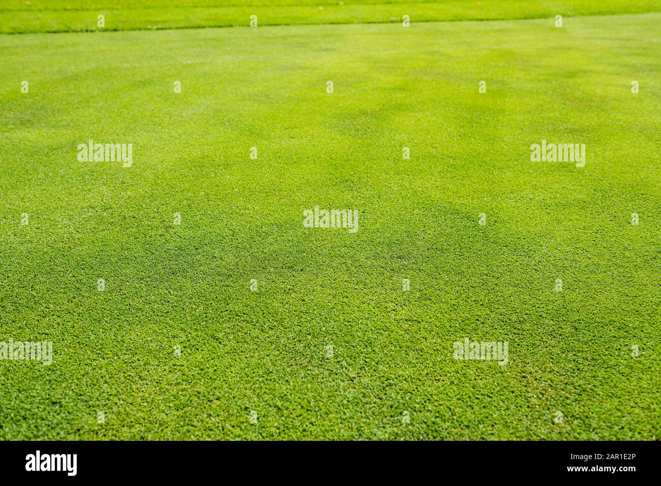 Putting green of a driving range Stock Photo - Alamy