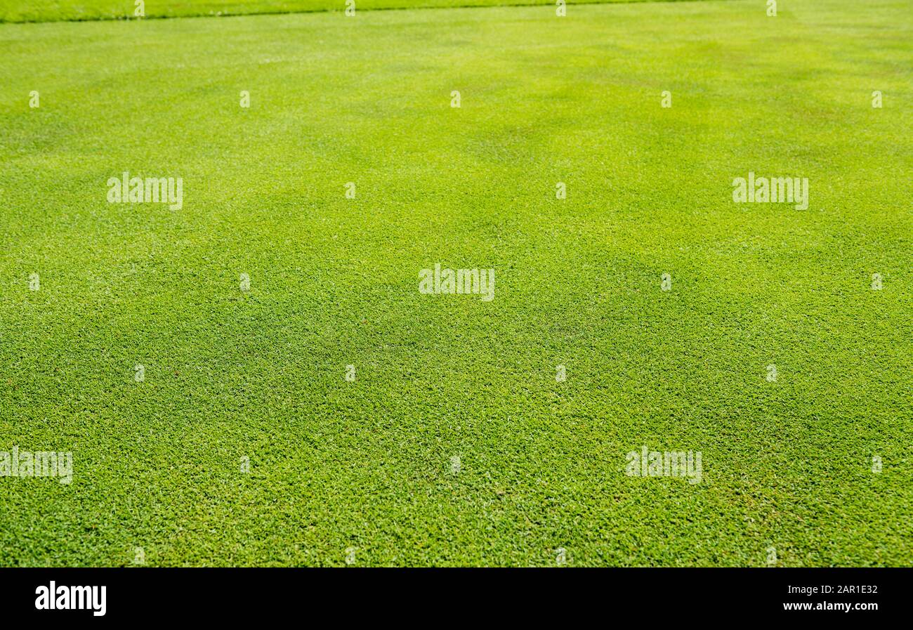 Putting green of a driving range Stock Photo - Alamy