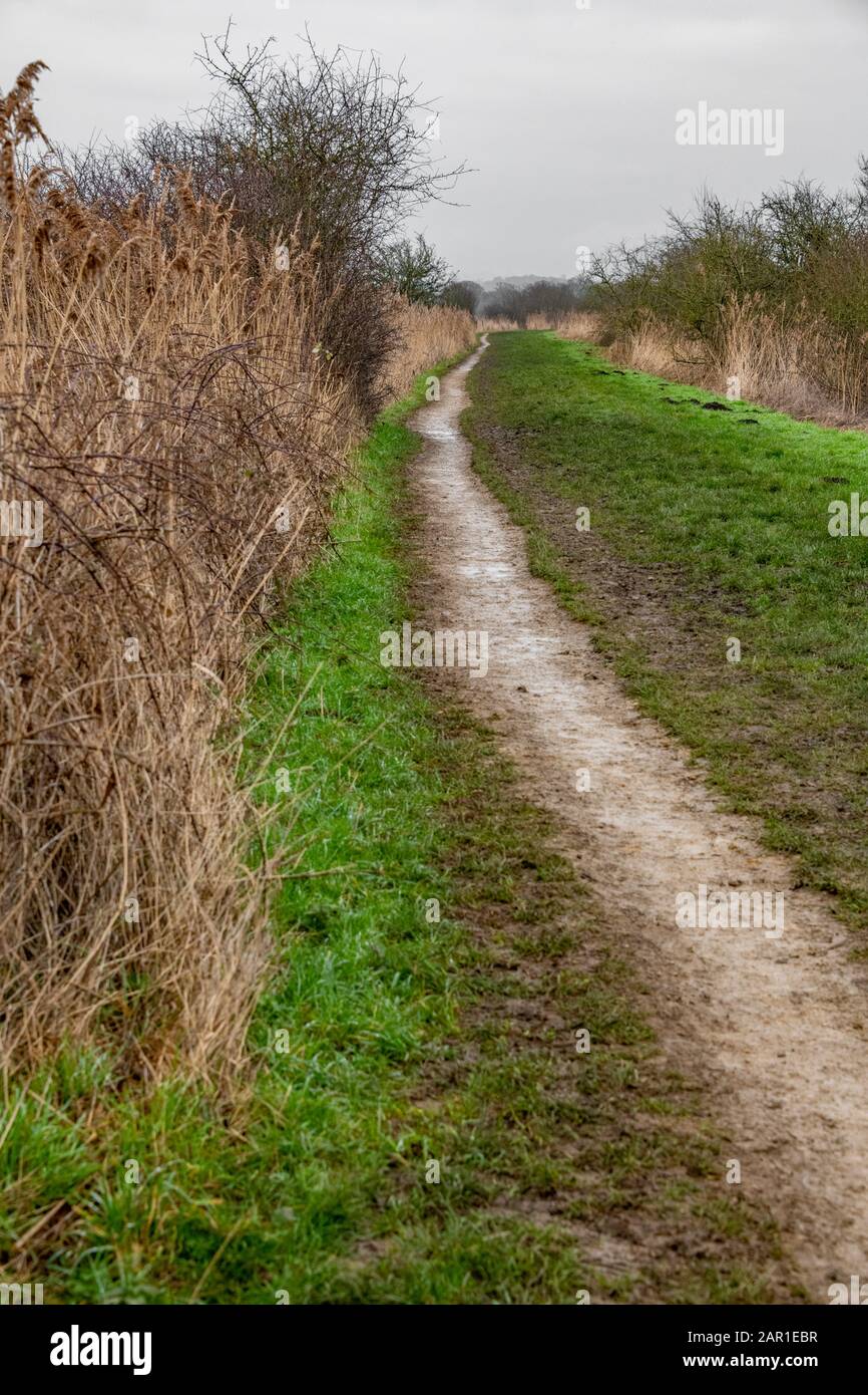 Otmoor nature reserve hi-res stock photography and images - Alamy