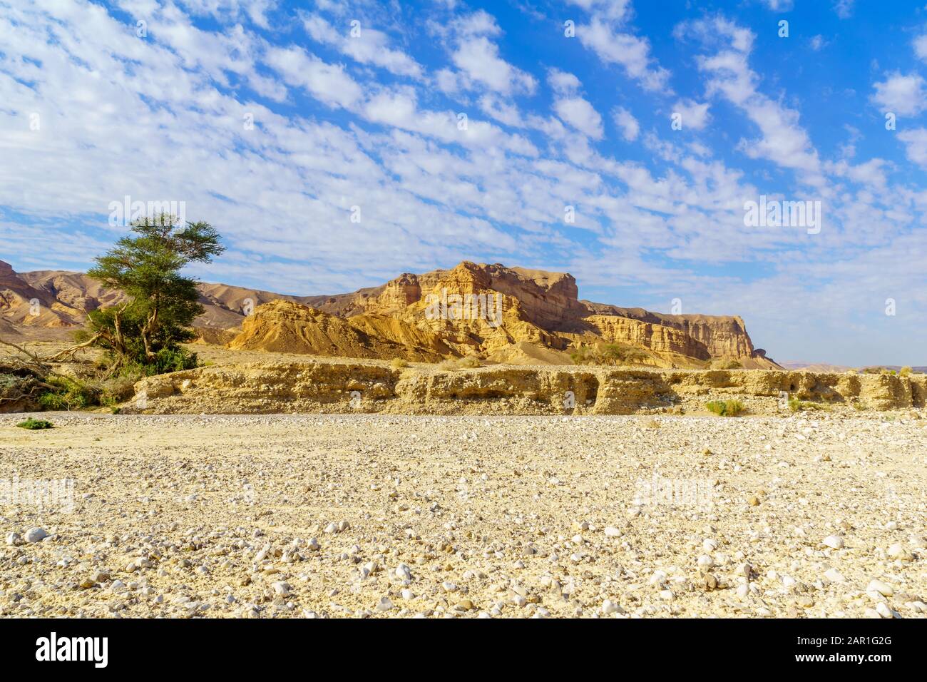 Landscape along Nahal Paran valley, the Negev desert, southern Israel ...