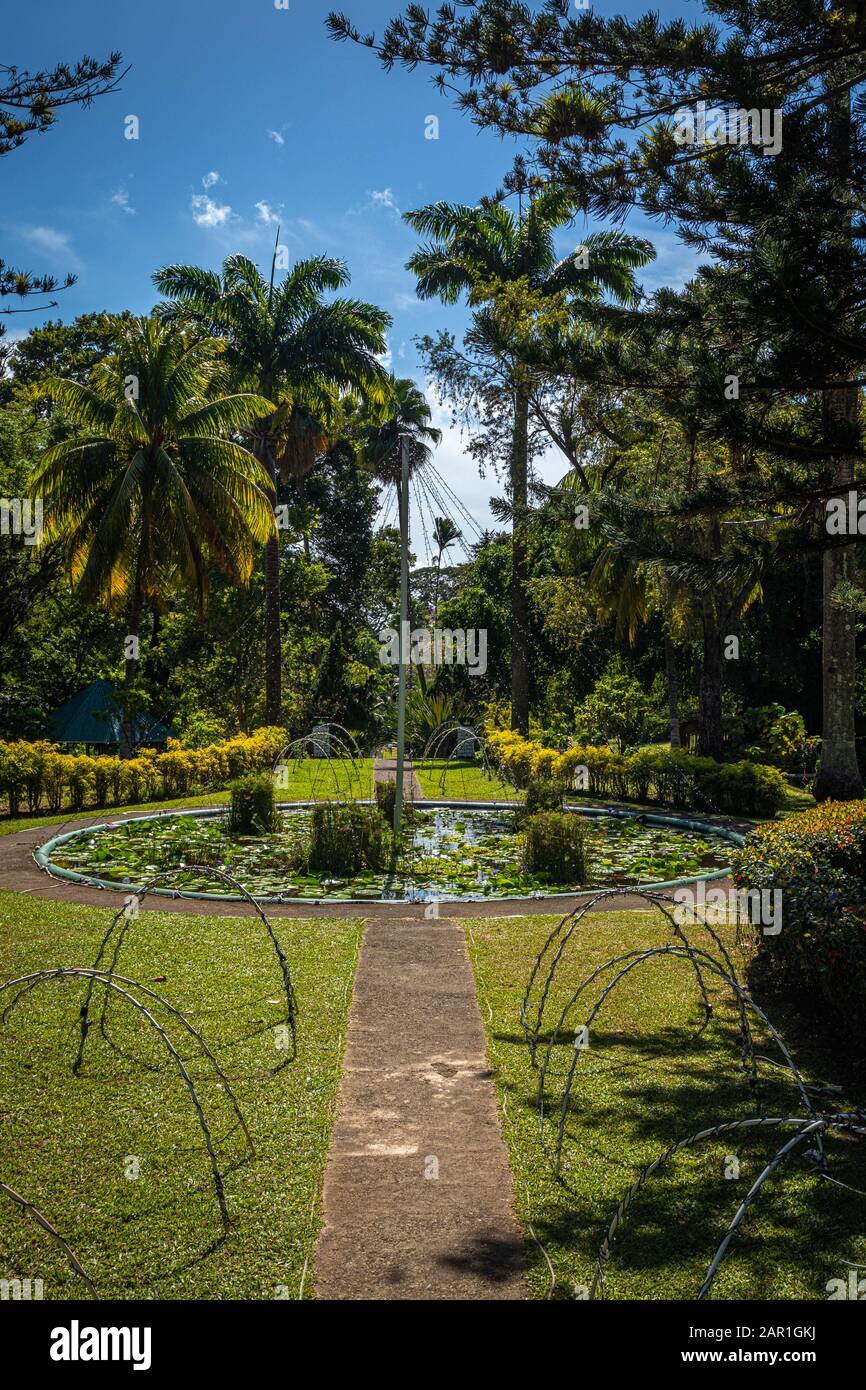 St vincent caribbean palm trees hi-res stock photography and images - Alamy