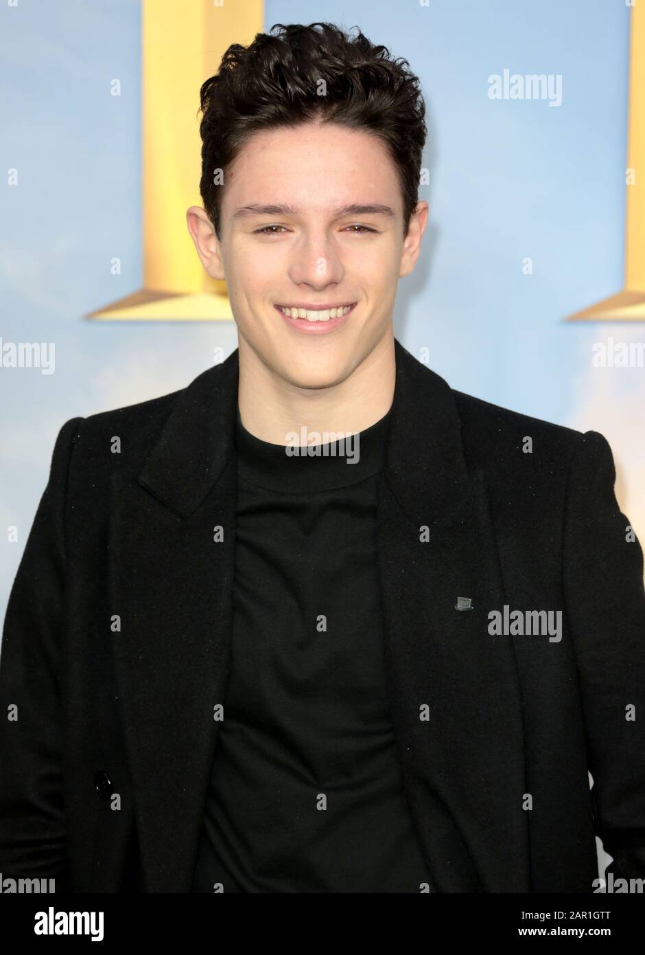 Jan 25, 2020 - London, England, UK - Harry Collett attending Dolittle ...