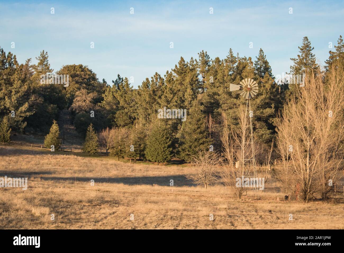 Autum American western rural ranch countryside landscape with tall ...