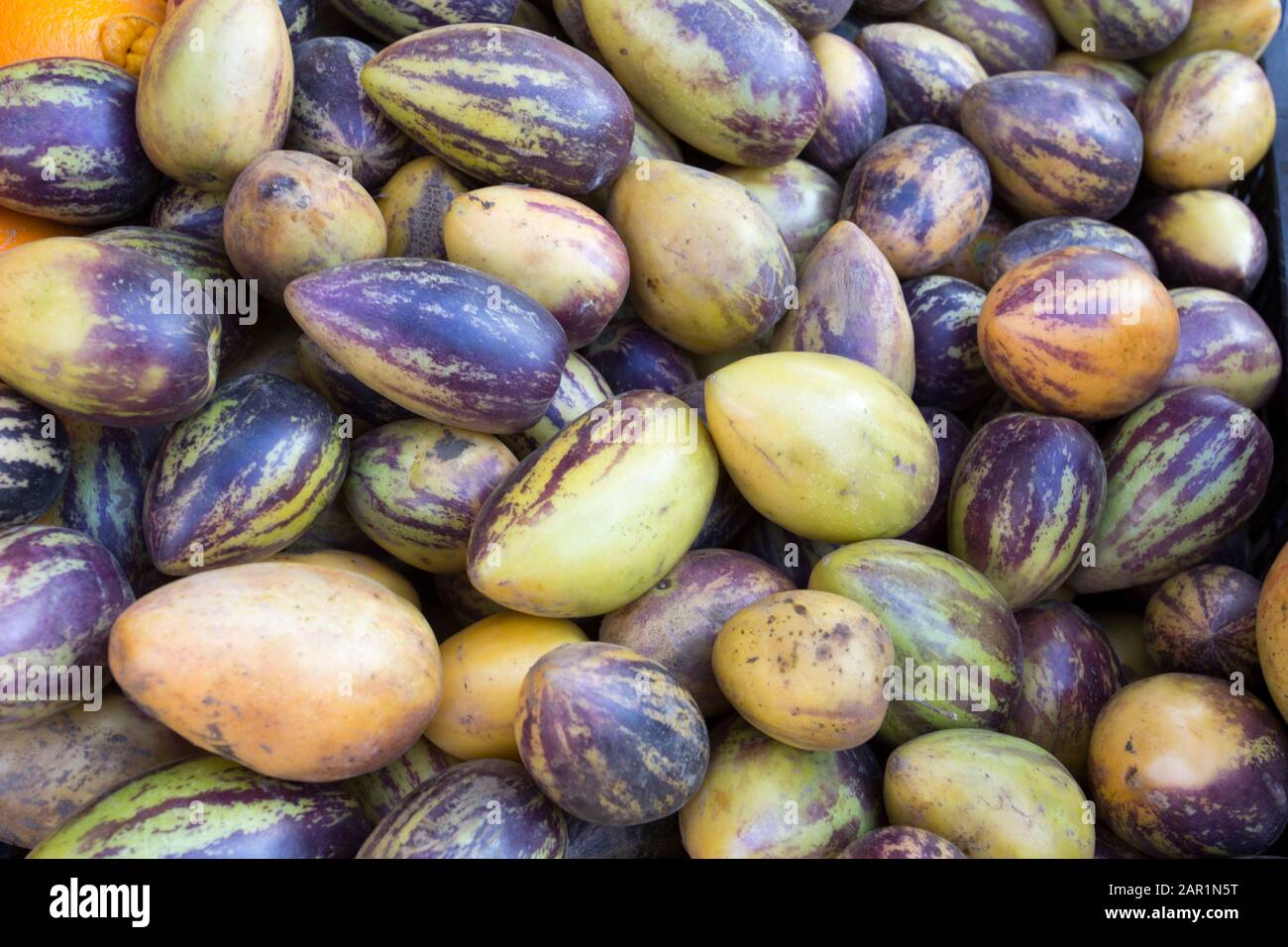 Pepino fruits sold at market in Chile Stock Photo - Alamy