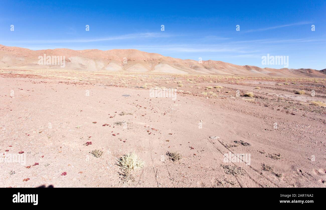 Landscape along the famous route 5, Panamericana, in Chile Stock Photo ...