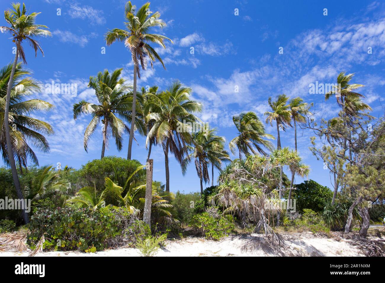 The beautiful beach in Ouvea island, New Caledonia Stock Photo - Alamy