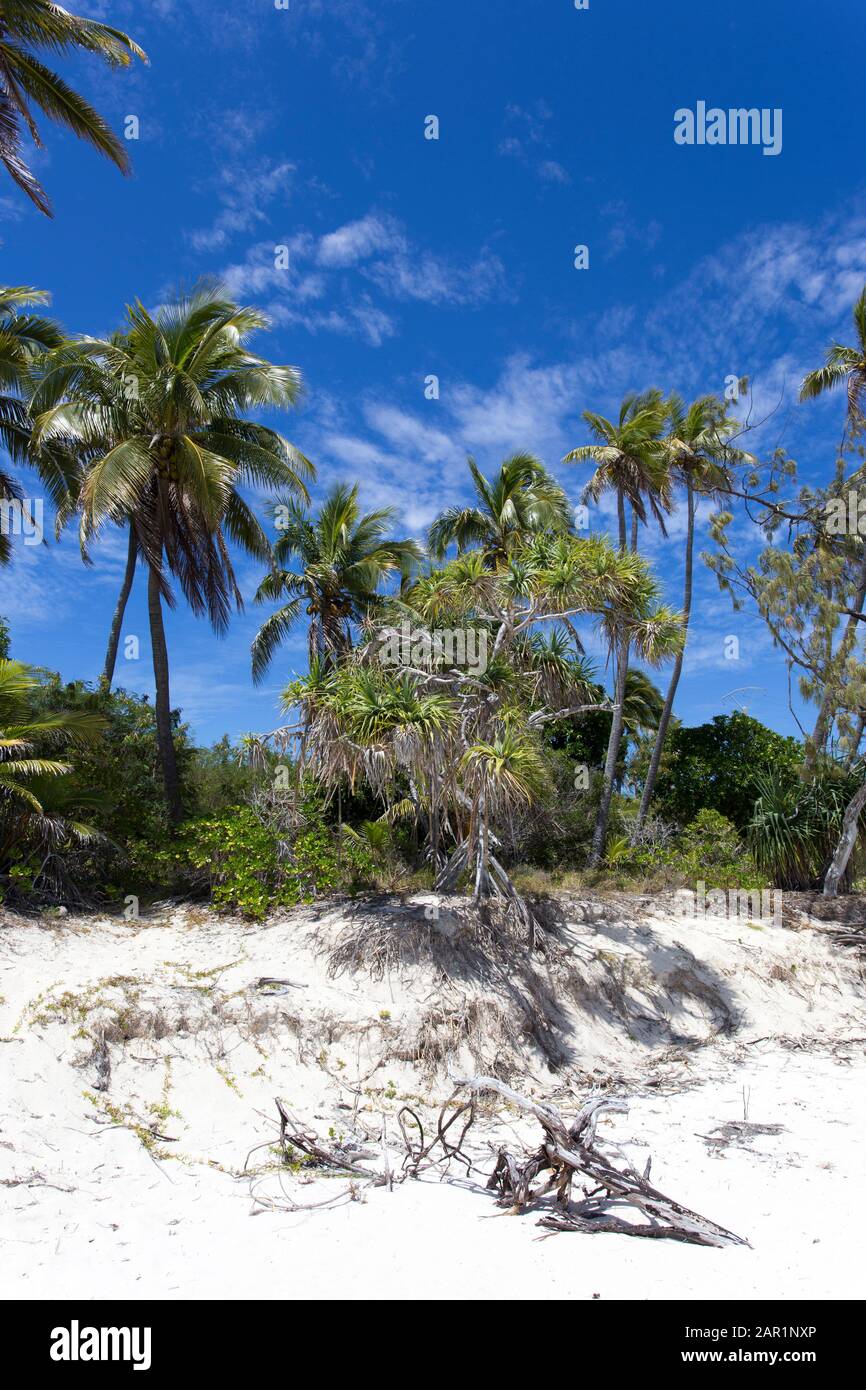 The beautiful beach in Ouvea island, New Caledonia Stock Photo - Alamy