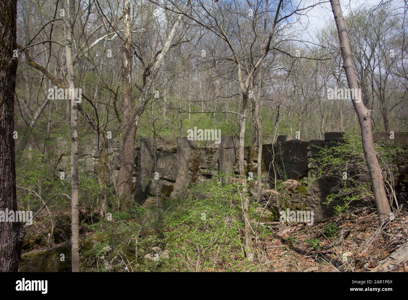 Glen Helen Preserve, Yellow Springs, Ohio Stock Photo - Alamy