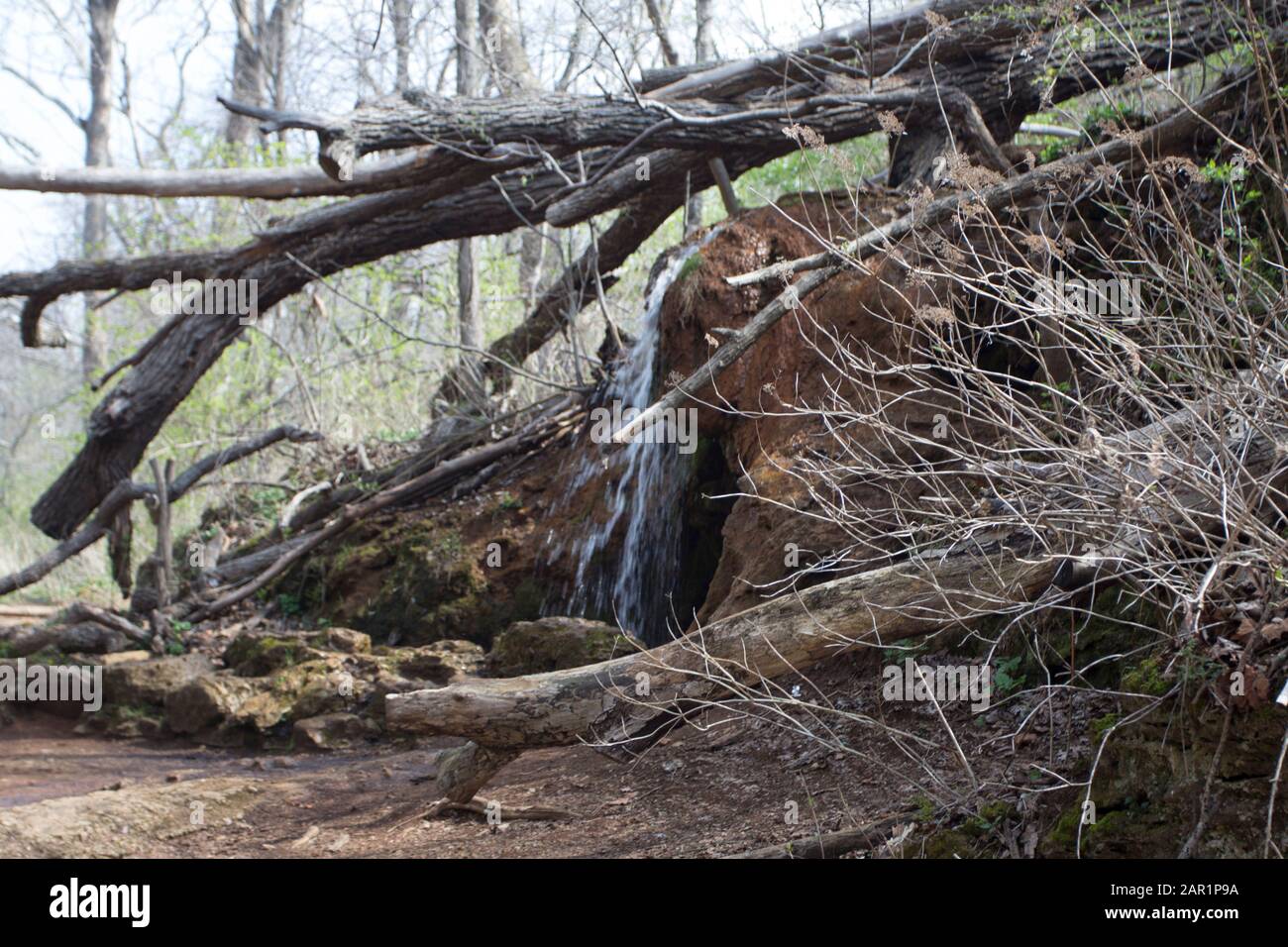 Glen Helen Preserve, Yellow Springs, Ohio Stock Photo - Alamy