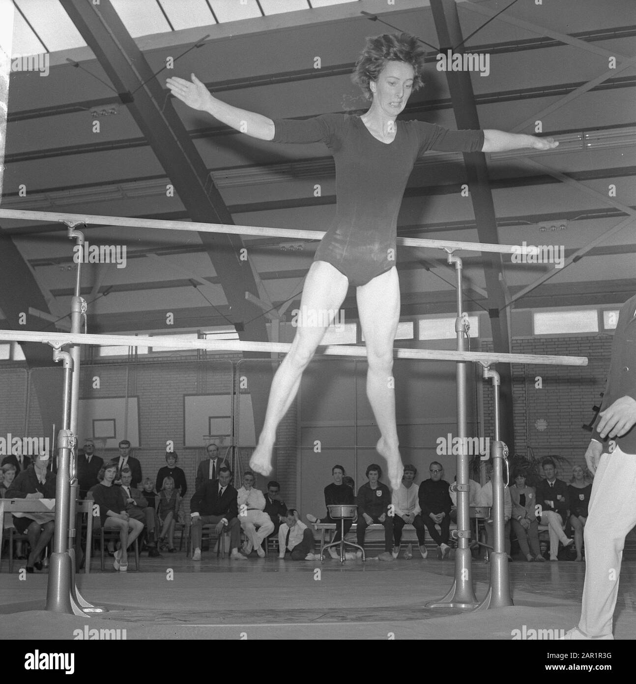 Ria rietveld hi-res stock photography and images - Alamy