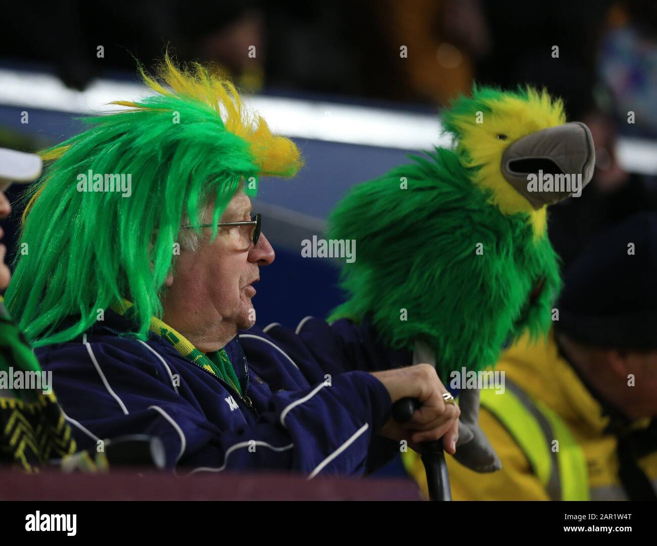 Lancashire canary hi-res stock photography and images - Alamy