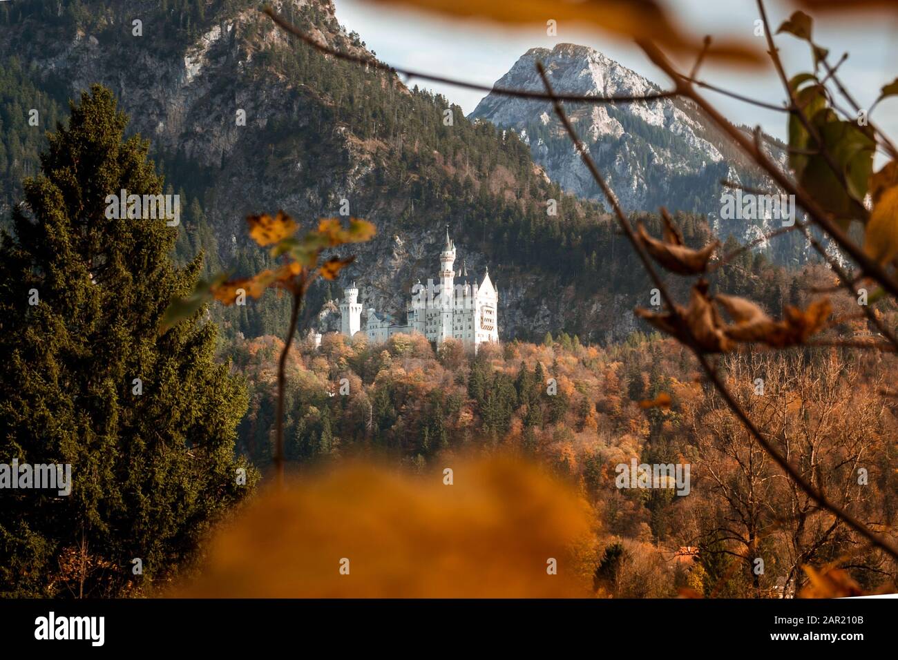 Wide angle shot of the Neuschwanstein Castle in Germany behind a ...