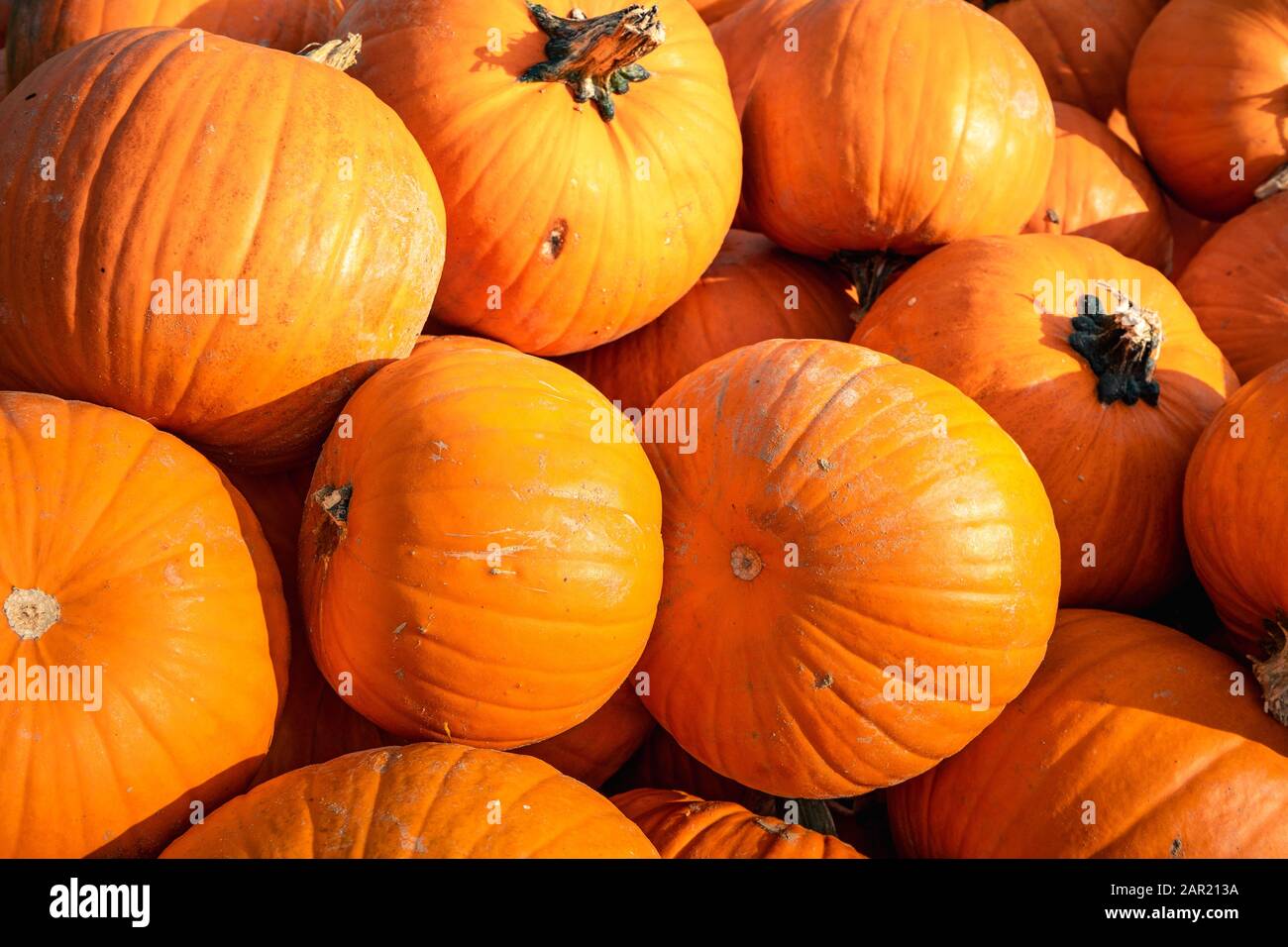 Pumpkins of different sizes stacked on top of each other Stock Photo ...