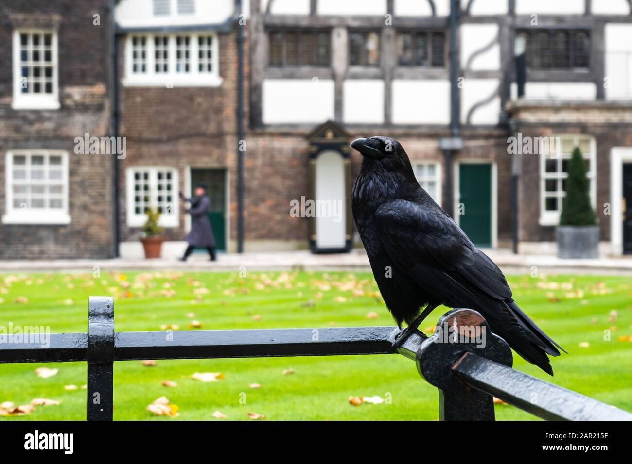 Old raven street hi-res stock photography and images - Alamy