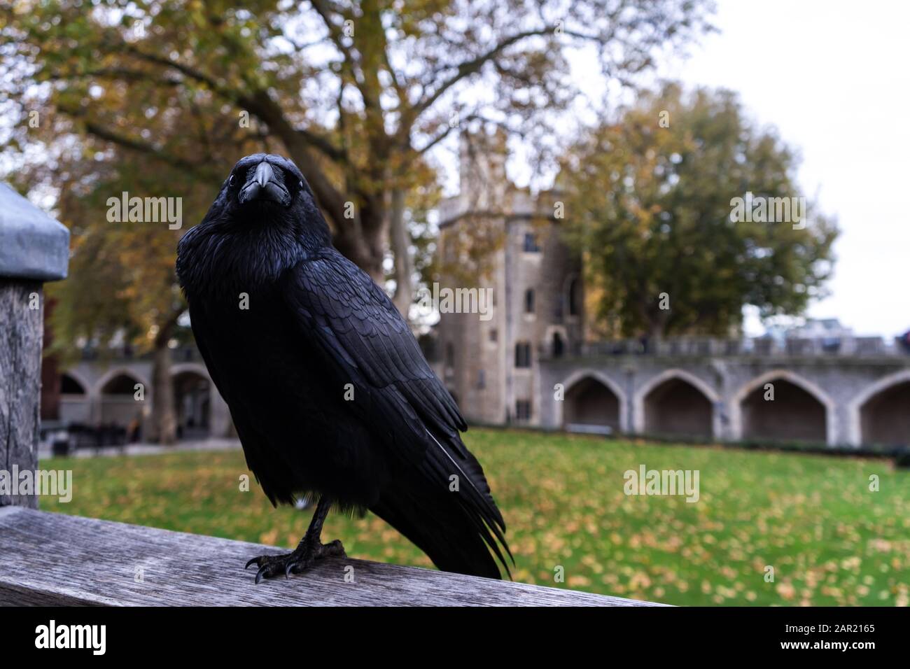 Old raven street hi-res stock photography and images - Alamy