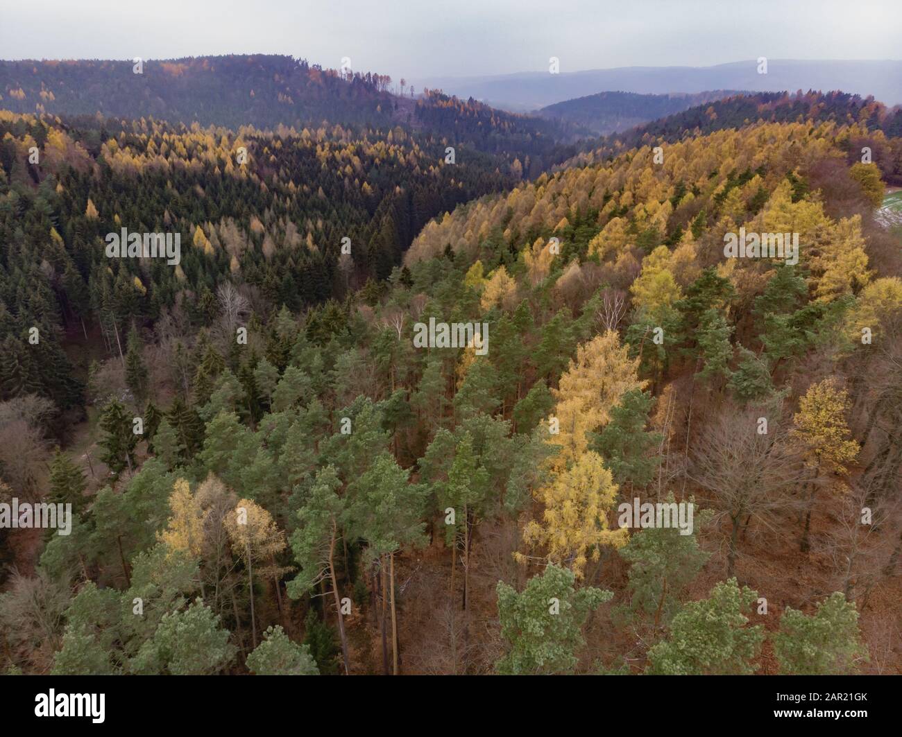 Multiple trees on winter landscape hi-res stock photography and images ...