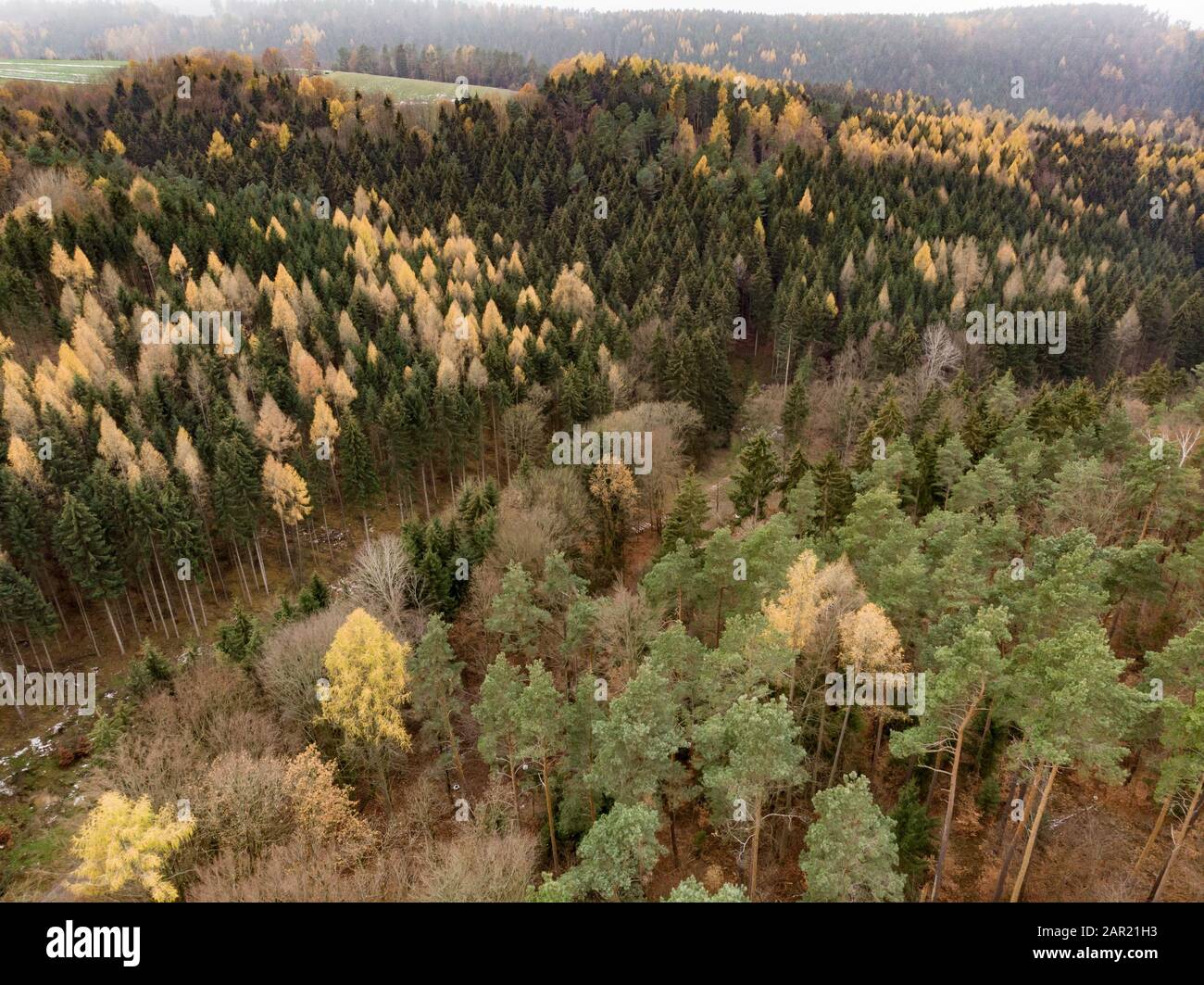 Multiple trees on winter landscape hi-res stock photography and images ...