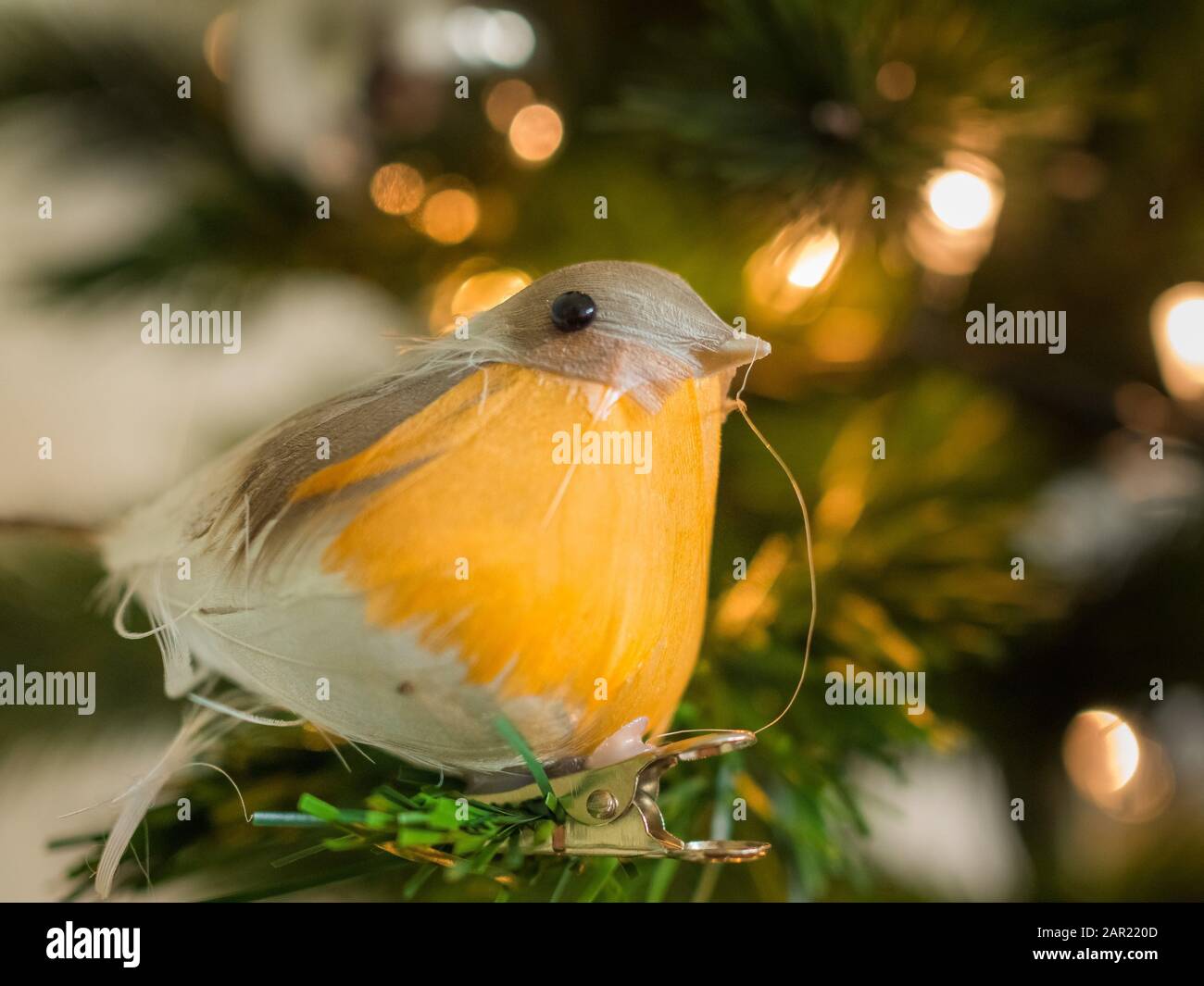 Cartoon robin christmas hi-res stock photography and images - Alamy
