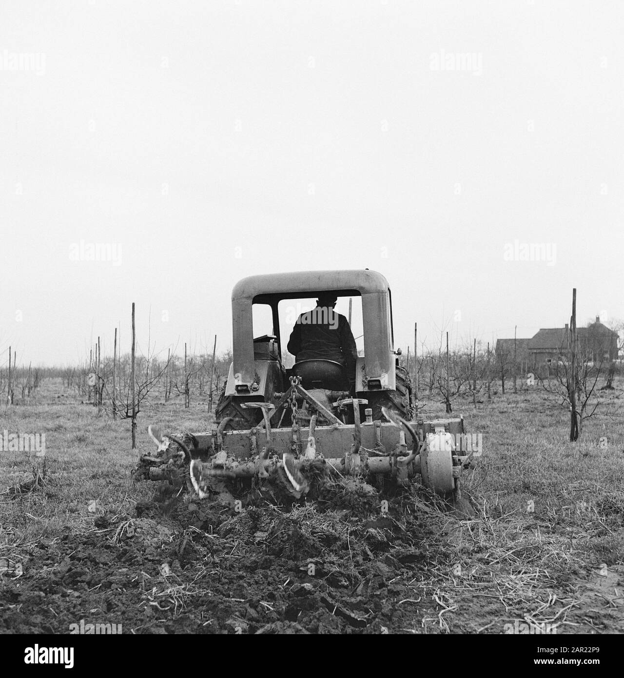 Neder betuwe hi-res stock photography and images - Alamy