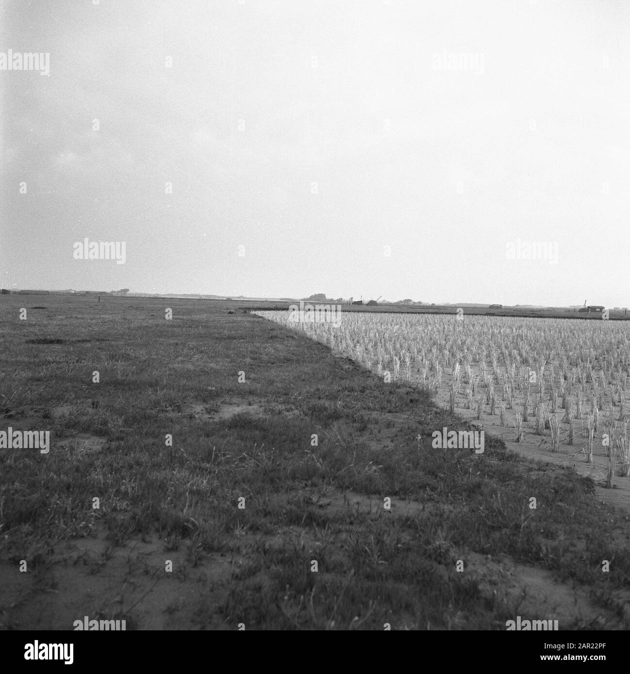 mining, tillage, leveling, bandanden, straw legs, 'de langefield' Date ...