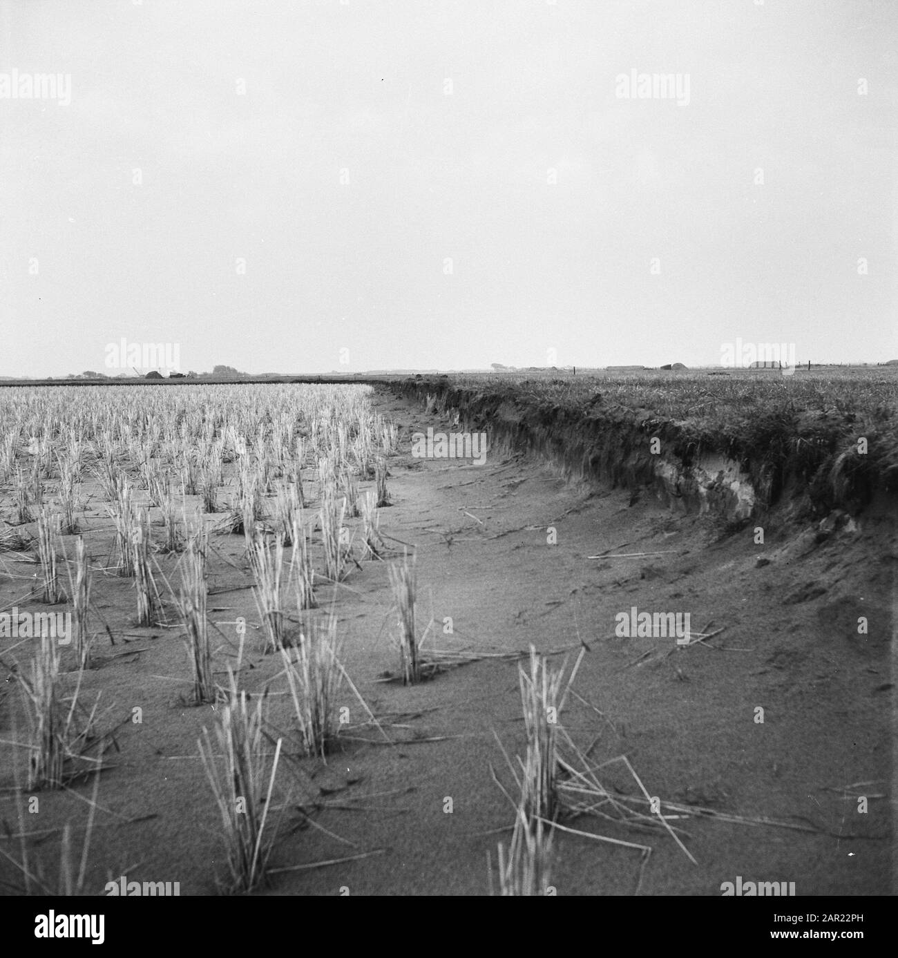 mining, tillage, leveling, bandanden, straw legs, swap plots, 'the ...