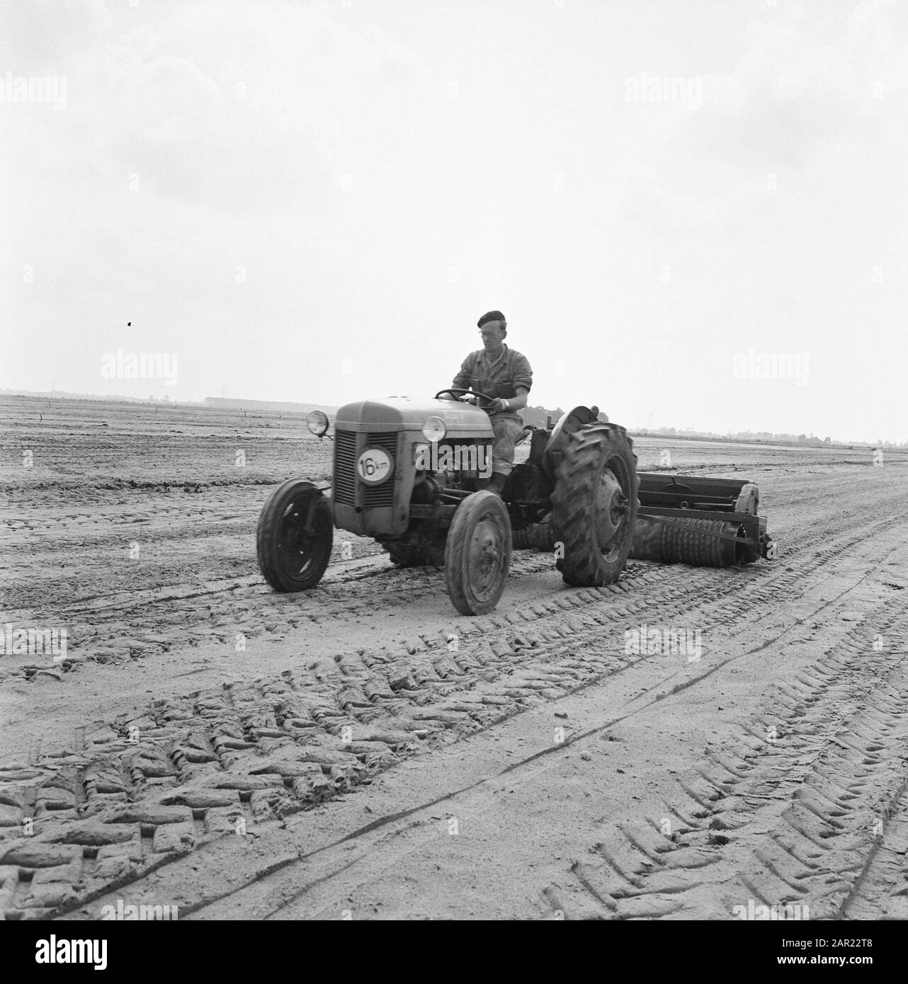 mining, tillage, leveling, enclosed land plots, tractors, sowing ...