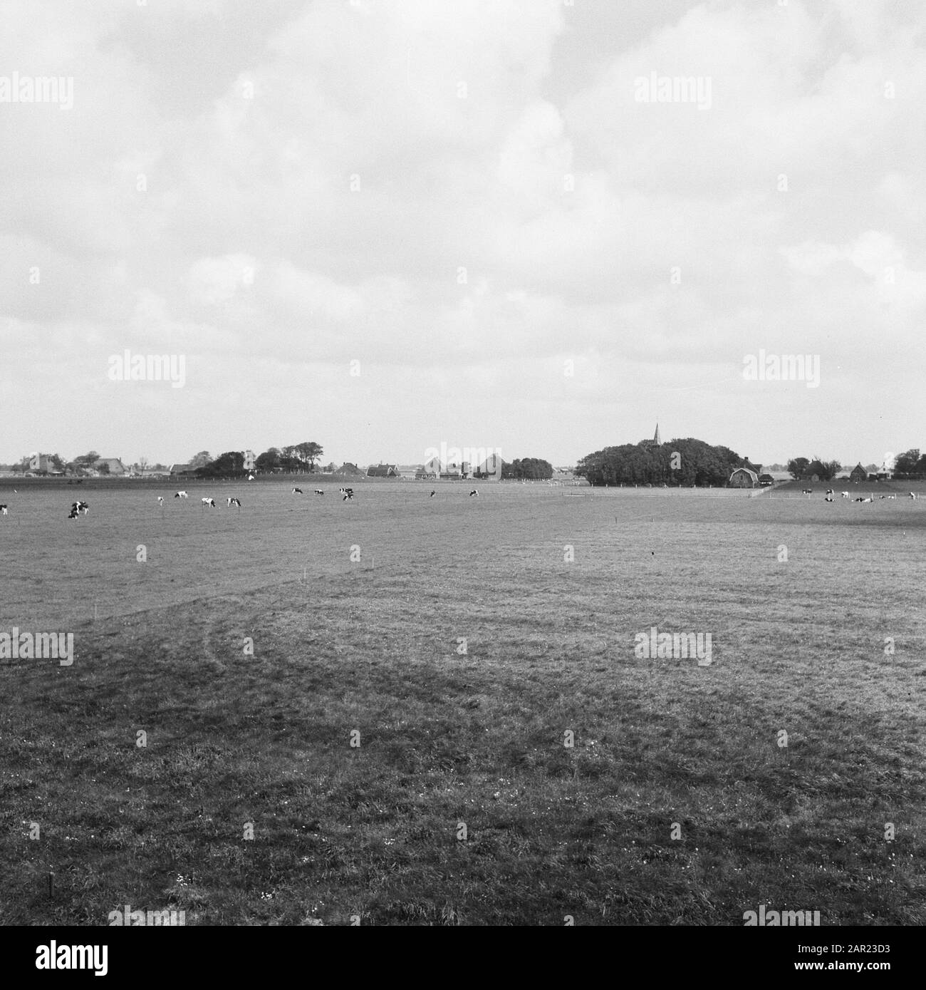 mining, tillage, leveling, scones, land plots, grasslands, cows ...