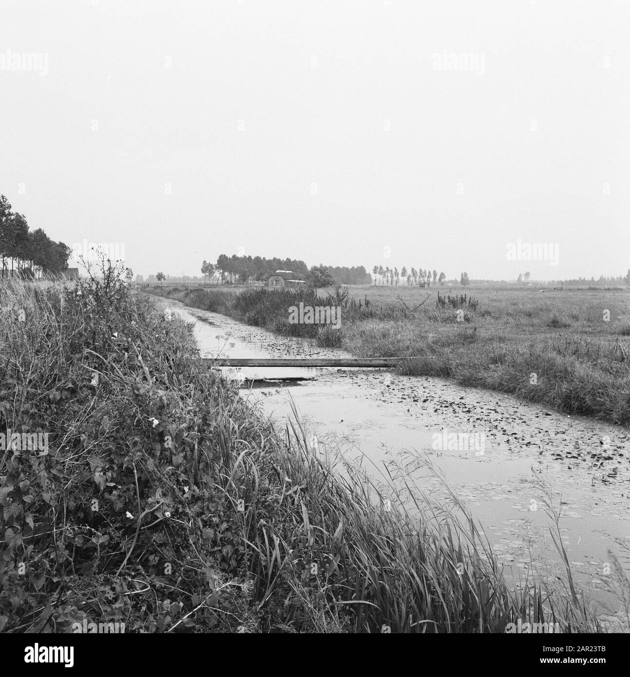 poldering and bemaling, landscapes, old state, polderdistrict lek en ...