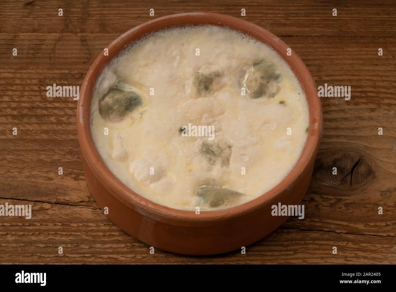 Bacteria yoghurt mold hi-res stock photography and images - Alamy