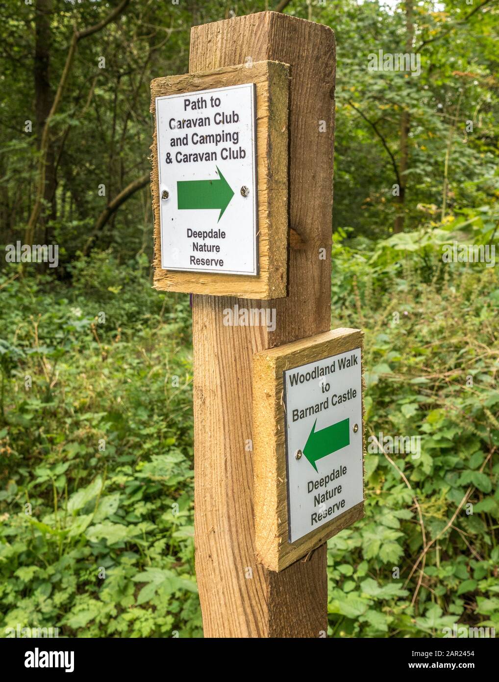 Wooden signposts in Deepdale Wood nature reserve to camping clubs, plus ...