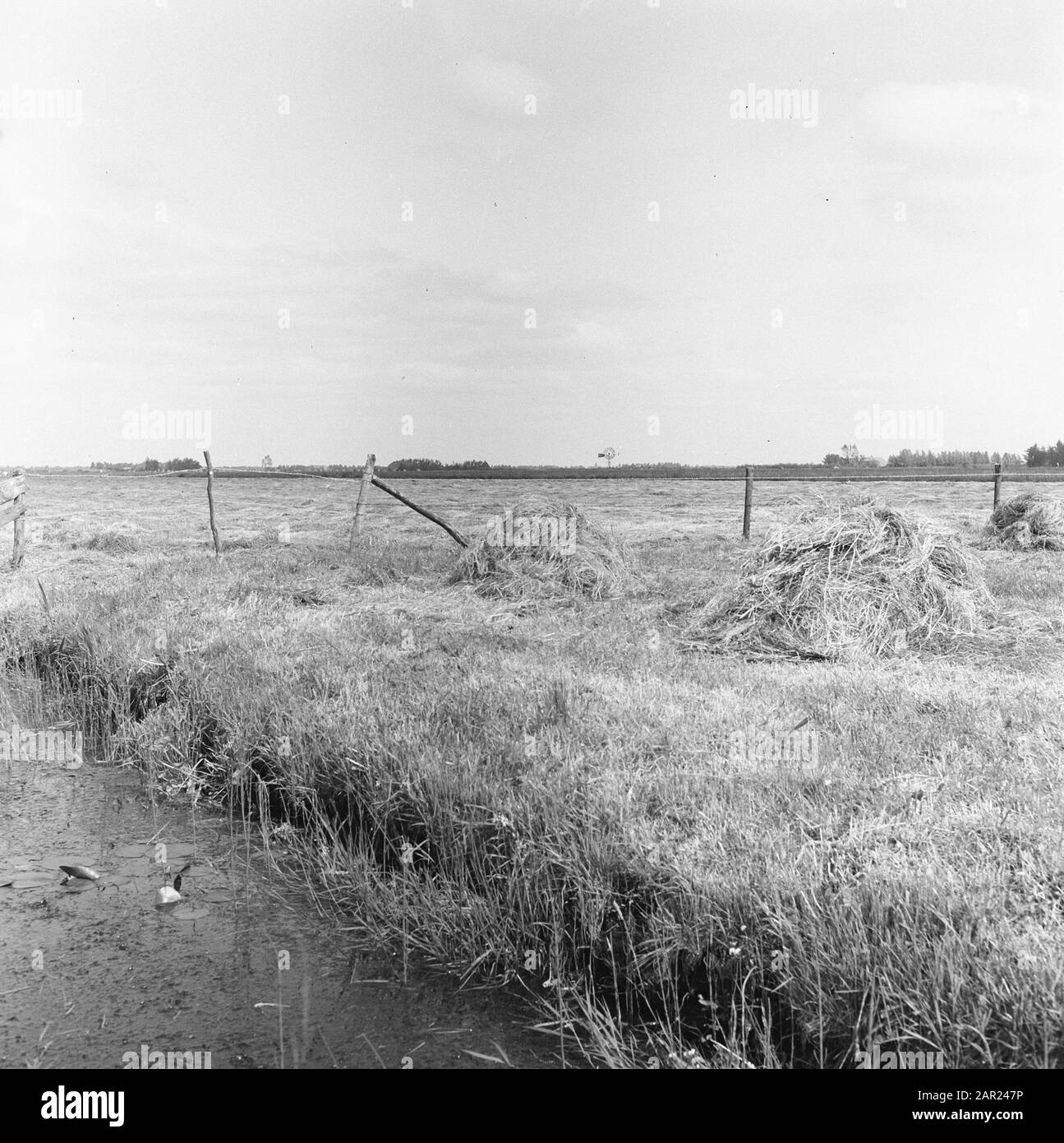extraction, sowing and harvesting crops, hay, Haerst, Genne Date: July ...