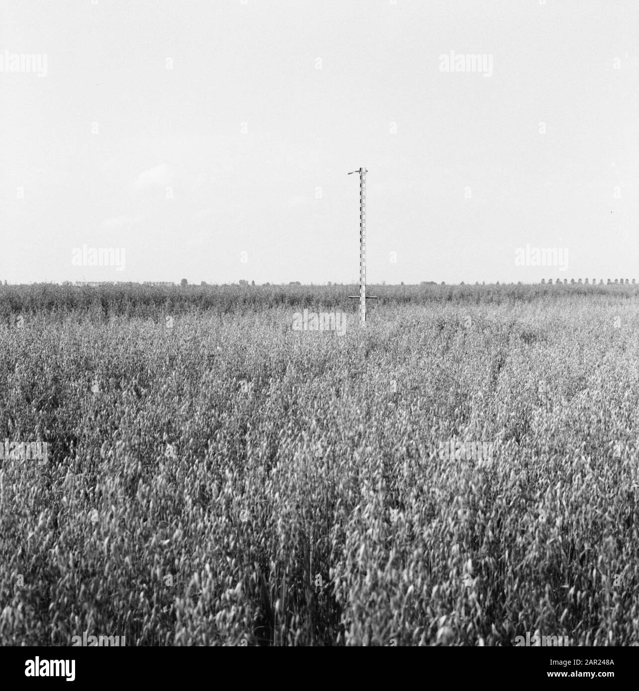 extraction, sowing and harvesting crops, oats, peat houses dates Date ...