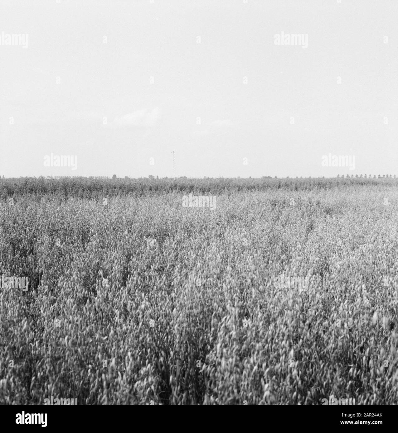 extraction, sowing and harvesting crops, oats, peat houses dates Date ...