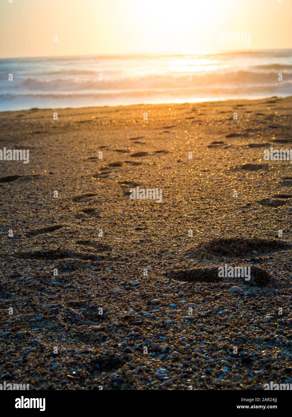Vertical picture of the beach with footsteps on it surrounded by the ...